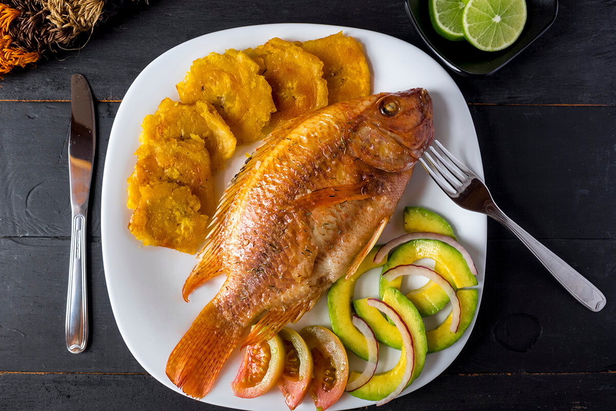 Kayifi - Blog Details